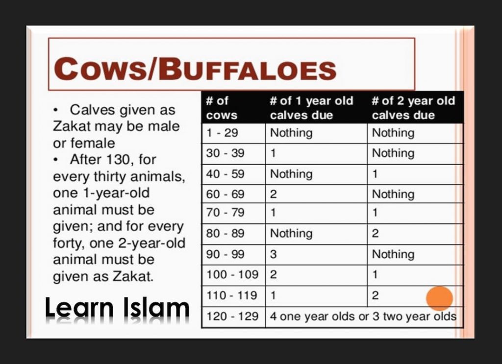 What is the Nisab , Zakah of Animals ? - Quran Mualim 2025