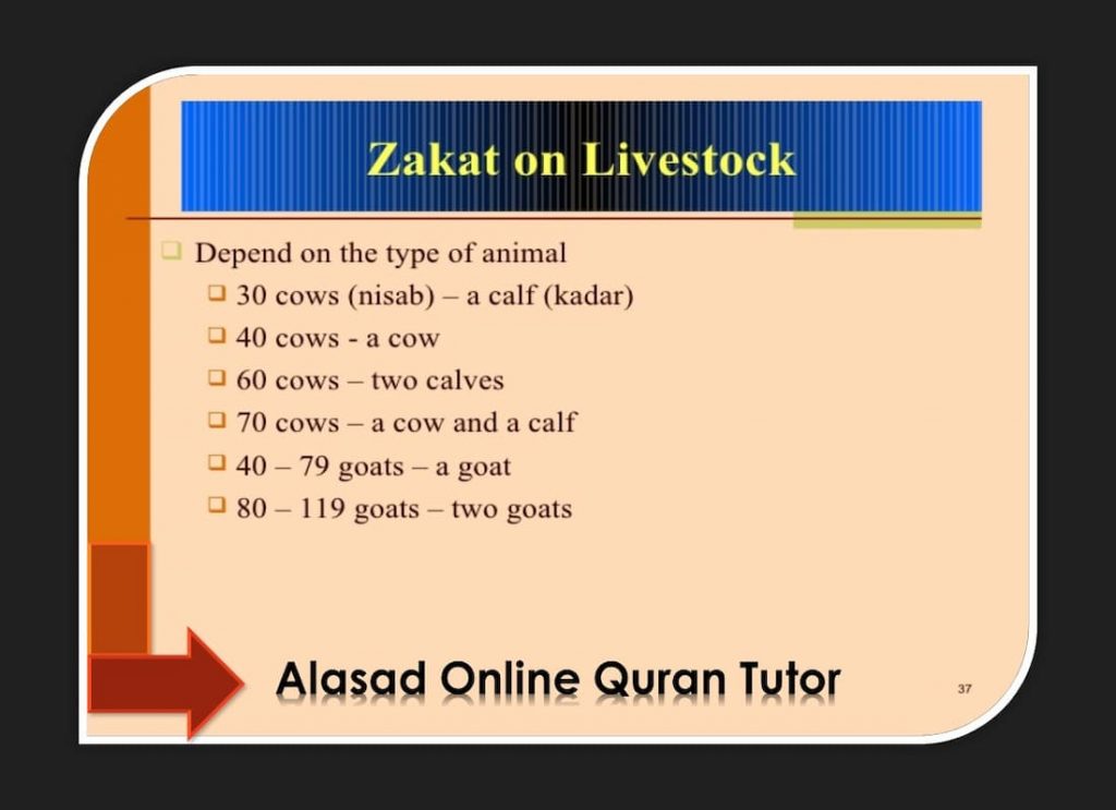 What is the Nisab , Zakah of Animals ? - Quran Mualim 2025