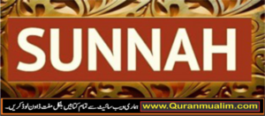 What is the Definition of Sunnah and importance of Sunnah ? - Quran Mualim