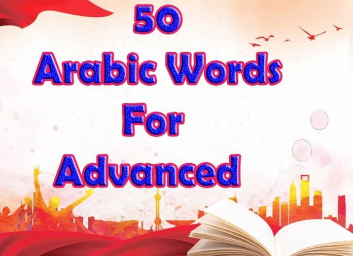 Arabic Phrases and Common Sentences PDF Download - Quran Mualim 2026
