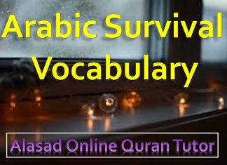 Arabic Survival Phrases Vocabulary PDF Download - Quran Mualim 2025