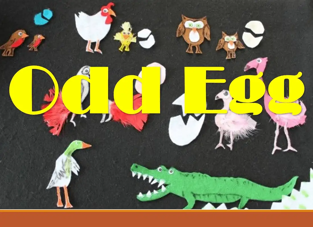 The Odd Egg Paperback – By Emily Gravett - Quran Mualim 2025