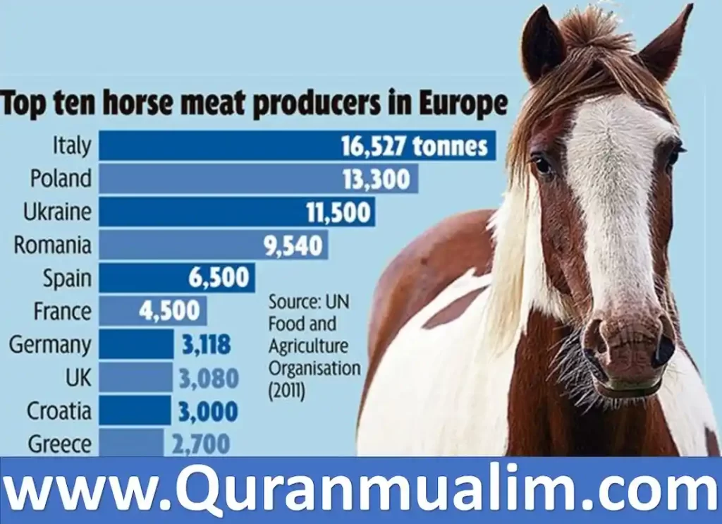 Question Is Horse Halal Learn Islam Quran Mualim