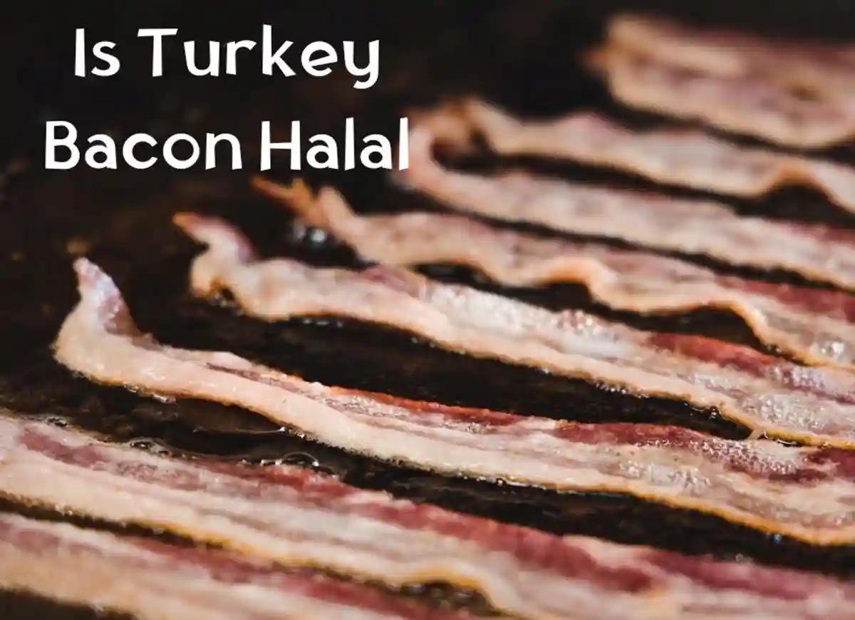 Is Turkey Bacon Halal Quran Mualim Is Turkey Bacon Halal Quran Mualim