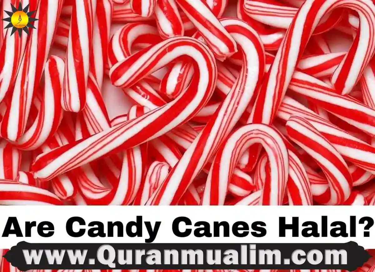 Are Candy Canes Halal Quick Facts Quran Mualim Are Candy Canes Halal Quick Facts Quran Mualim