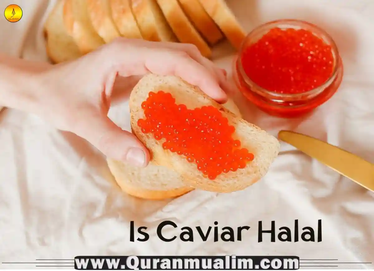 Is Caviar Halal or Haram? Everything You Should Know - Quran Mualim 2025