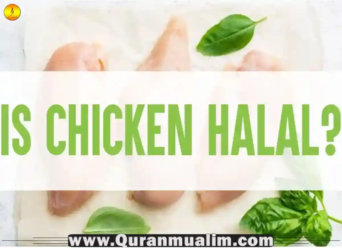 Is Chicken Halal? 2023 - Quran Mualim 2025