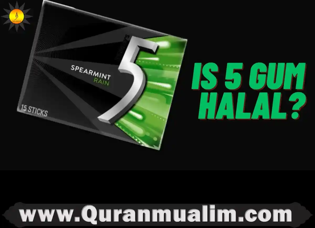 Is Extra Gum Halal Or Haram Quick Facts Quran Mualim Is Extra Gum Halal Or Haram Quick Facts Quran Mualim