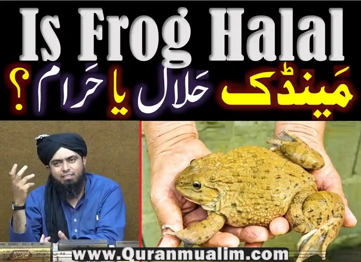 Is Frog Halal? Quick Facts - Quran Mualim 2025