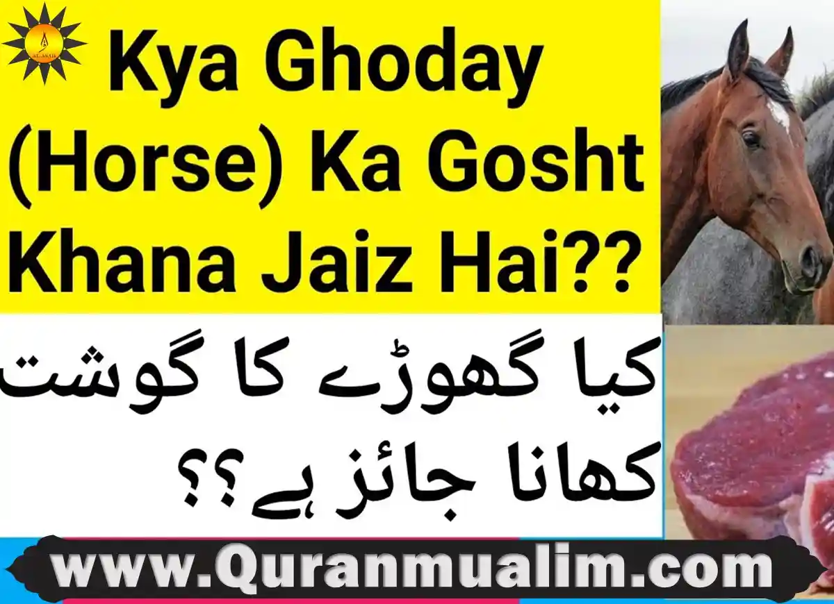 Is Horse Meat Halal In Islam Quick Facts 2023 Quran Mualim