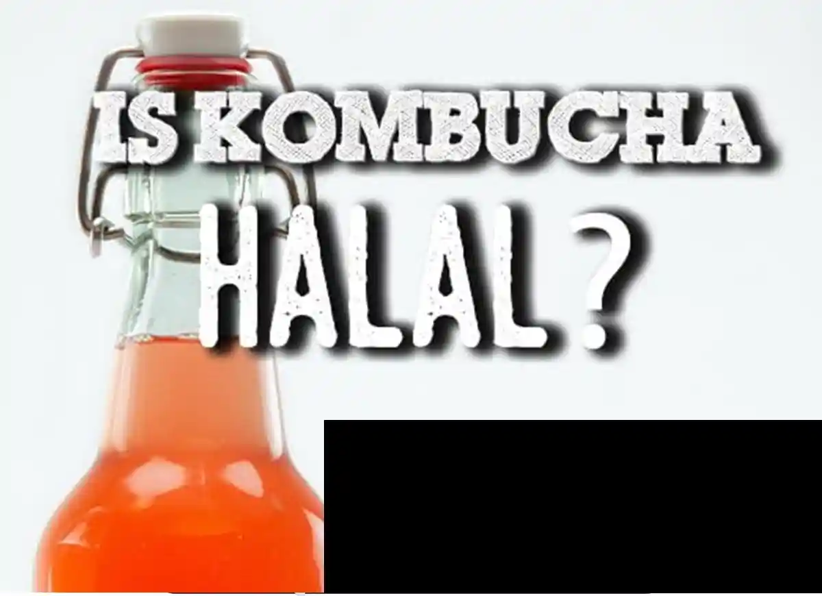 Is Kombucha Halal or Haram in Islam? - Quran Mualim 2025