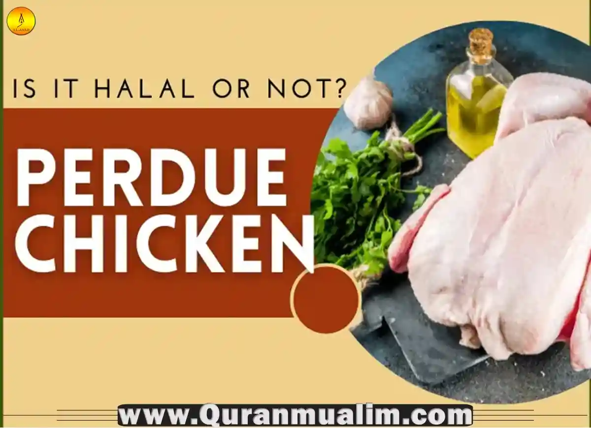 Is Perdue Chicken Halal in Islam? - Quran Mualim 2025