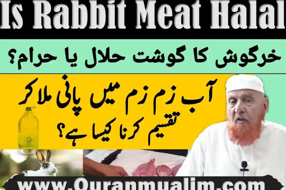 Is Rabbit Meat Halal in Islam? - Quran Mualim