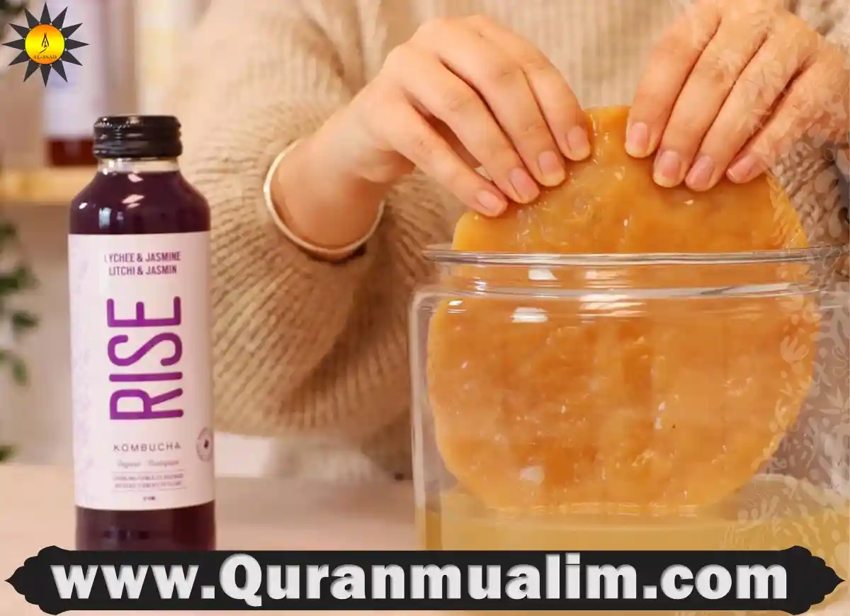 Is Sugar Alcohol Halal Facts 2023 Quran Mualim Is Sugar Alcohol Halal Facts 2023 Quran Mualim