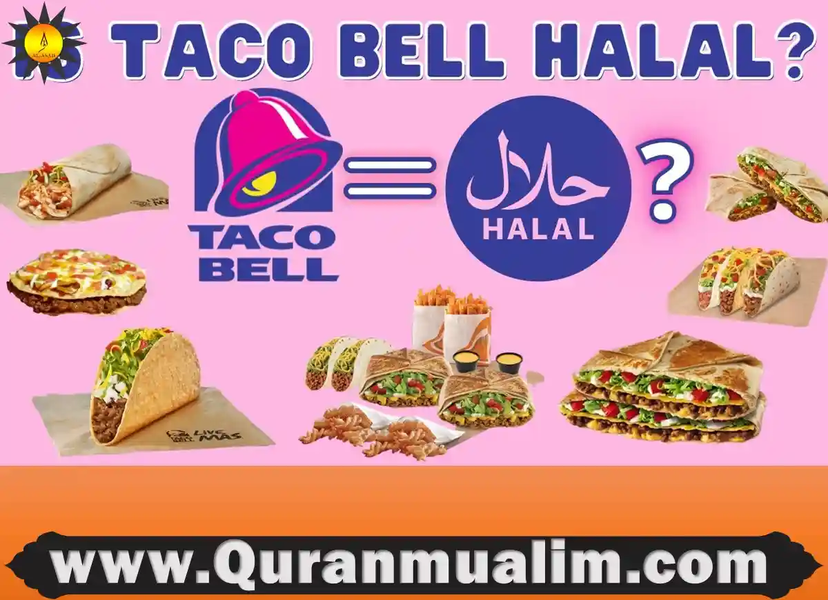 Is Taco Bell Halal In Islam Quran Mualim Is Taco Bell Halal In Islam Quran Mualim