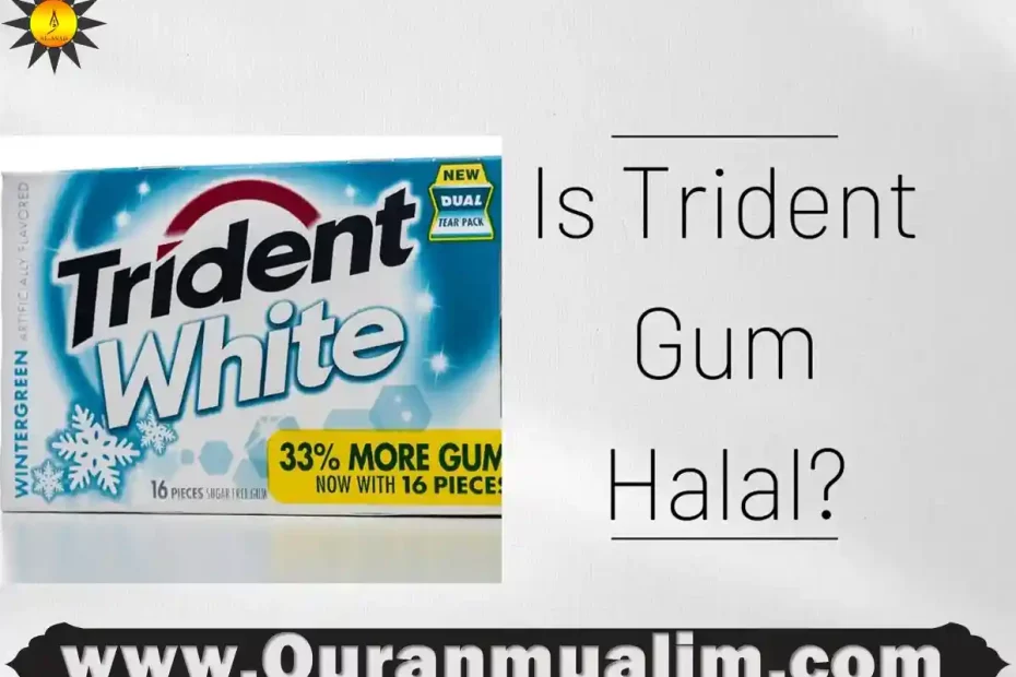 Is Trident Gum Halal? Explained 2023 - Quran Mualim