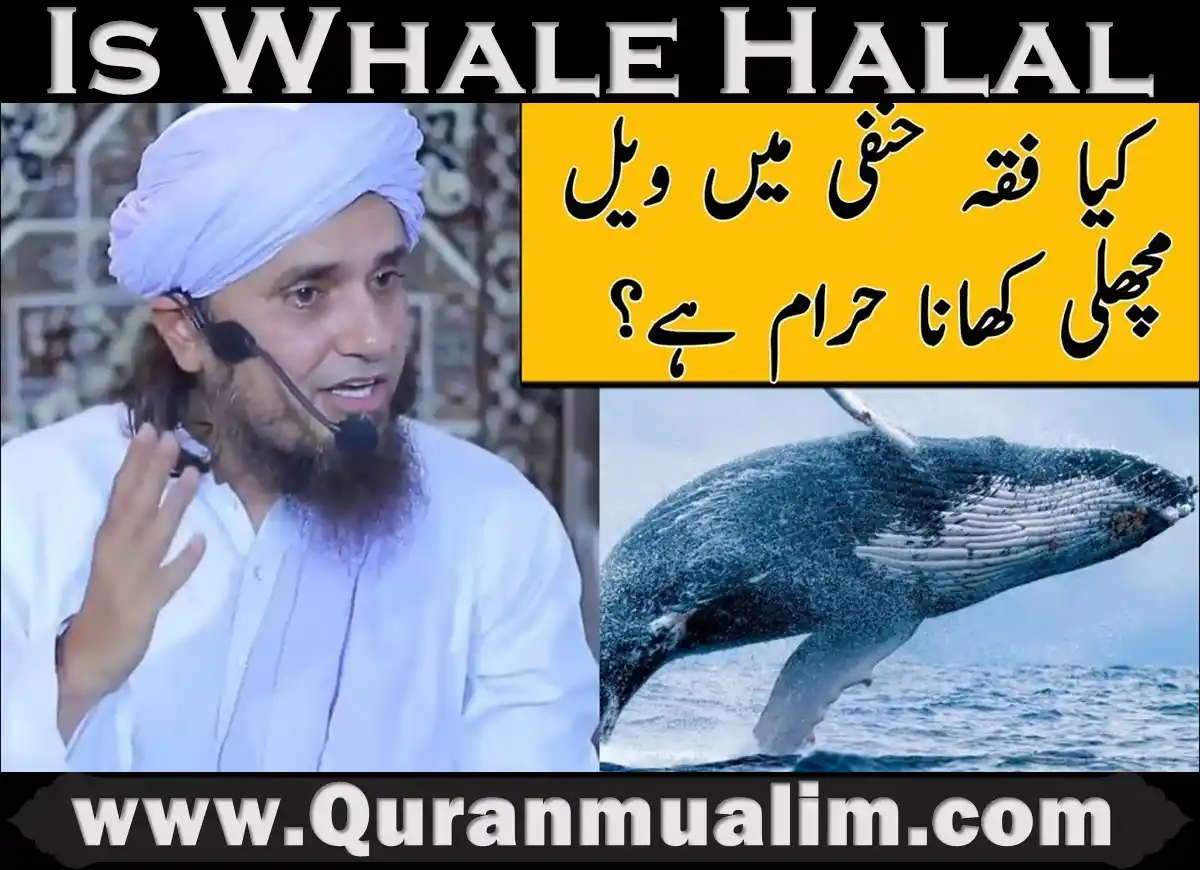 Is Whale Halal or Haram in Islam? - Quran Mualim 2025