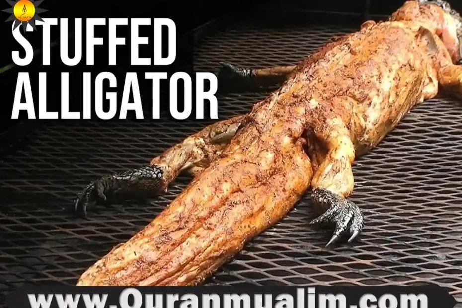 What Does Gator Meat Taste Like? - Quran Mualim