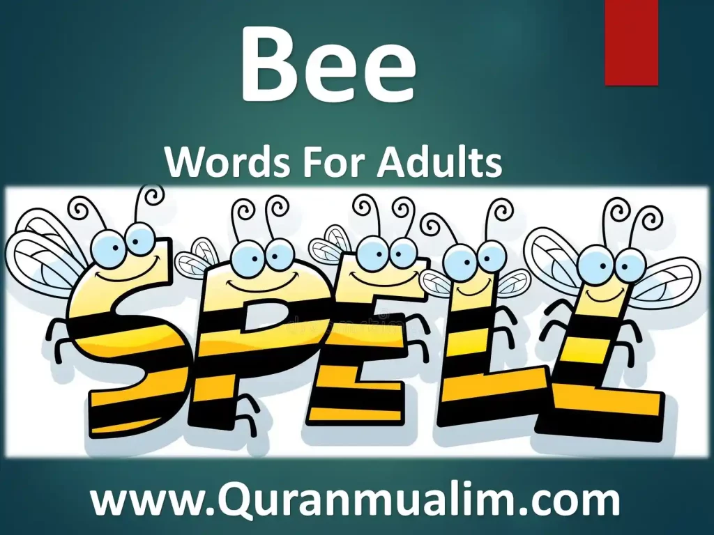 Spelling Bee Words For Adults English Vocabulary Quran Mualim
