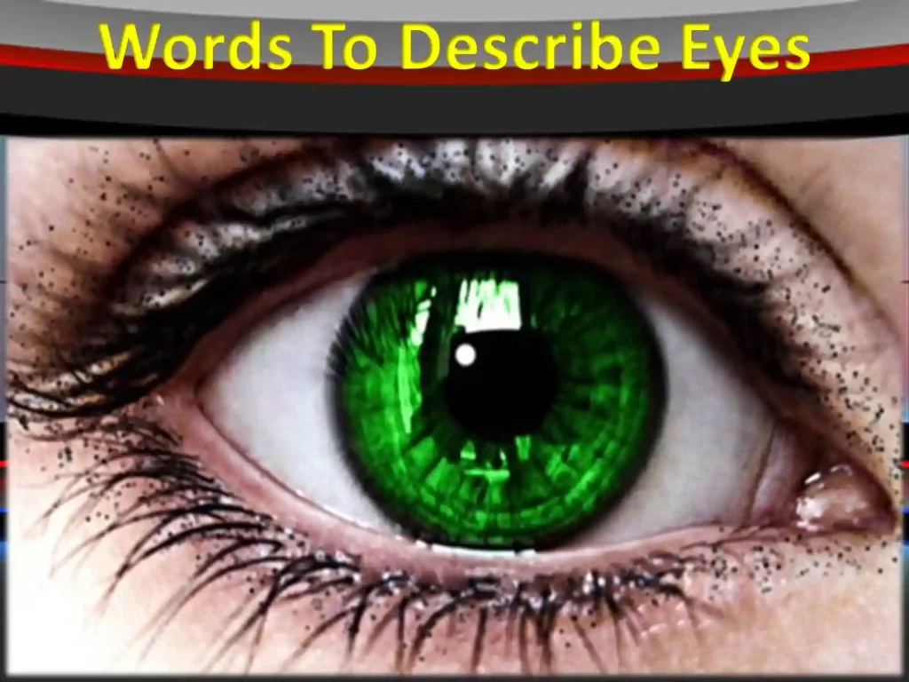 Words To Describe Eyes – English Vocabulary - Quran Mualim 2025
